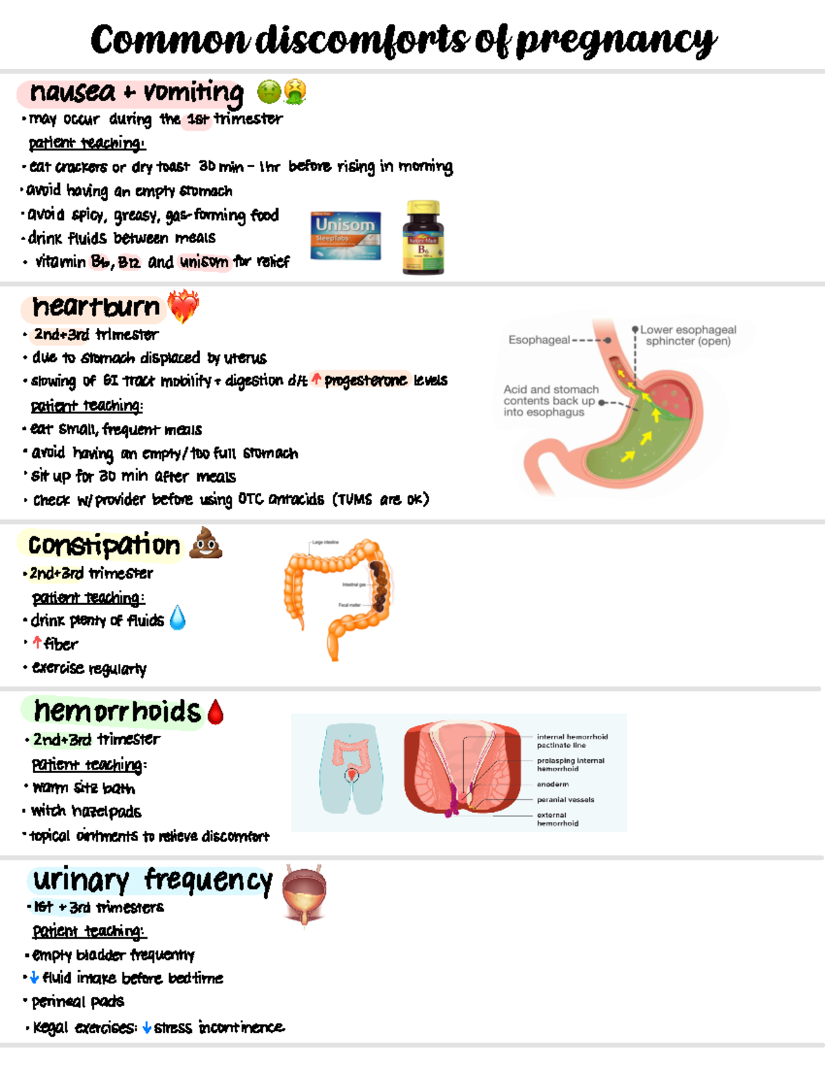 Common Discomforts Of Pregnancy - Common discomlorts of pregnancy ...