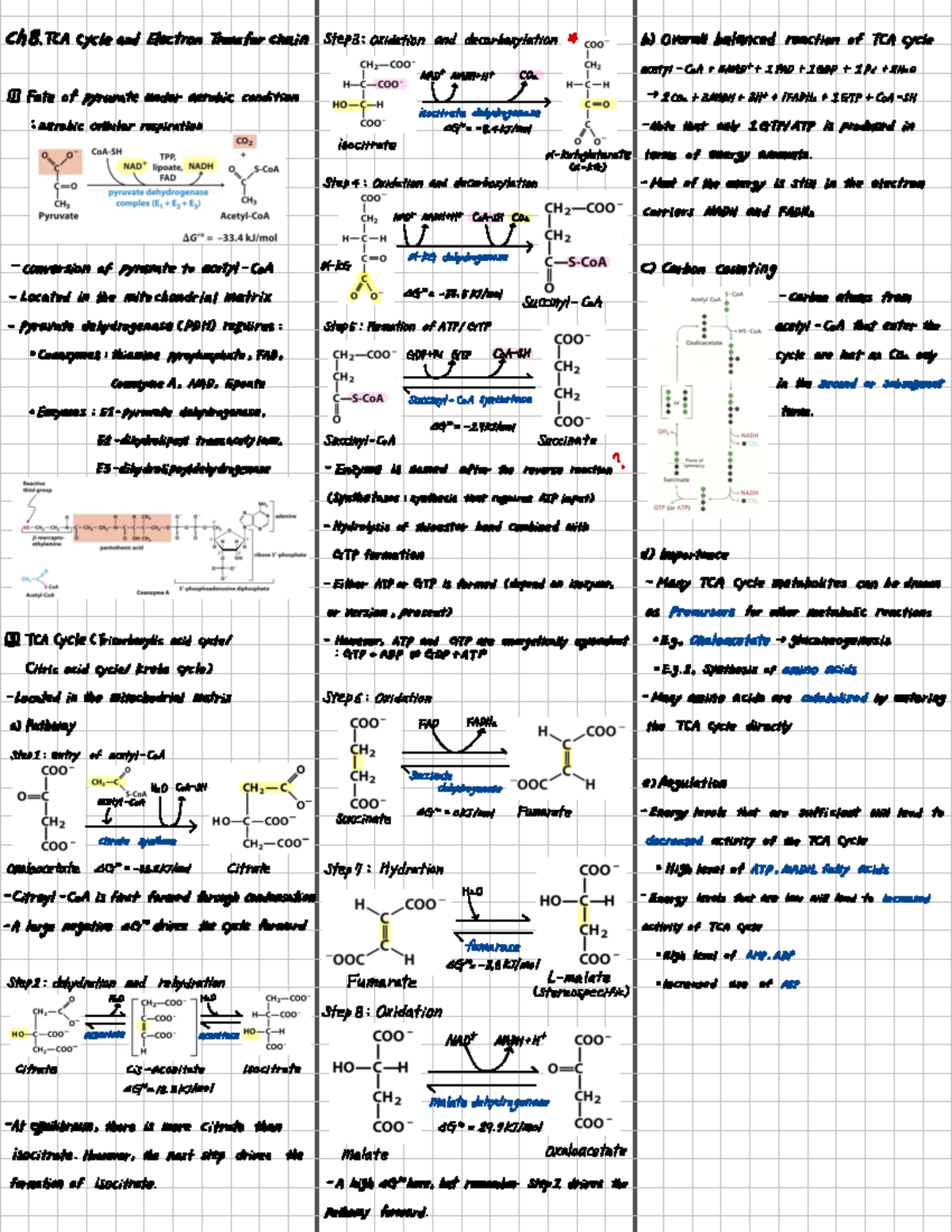 Biochem 4 - notes - Ch 8. TCA cycle and Electron Transfer chain step 3 ...