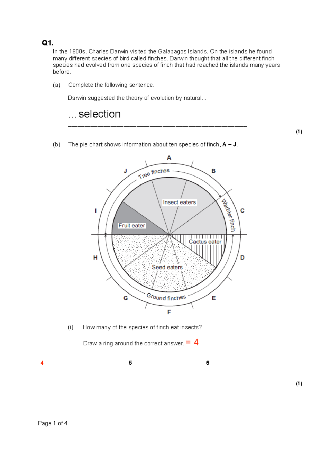 Evolution Qs samanta - it is very useful - Q1. In the 1800s, Charles ...