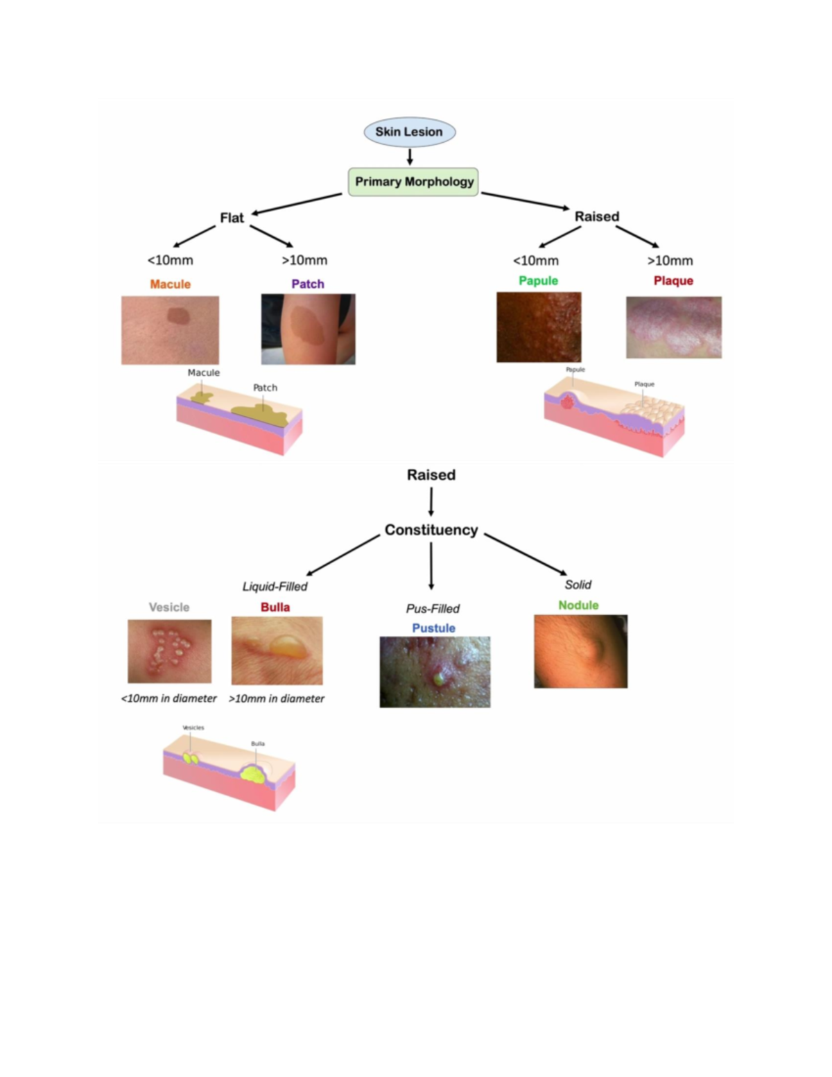 Dermatology - Computer Programing (Java-1) - Studocu