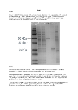 Guide on Food reaction - foods Review Carbon Monoxide in Meat and Fish ...