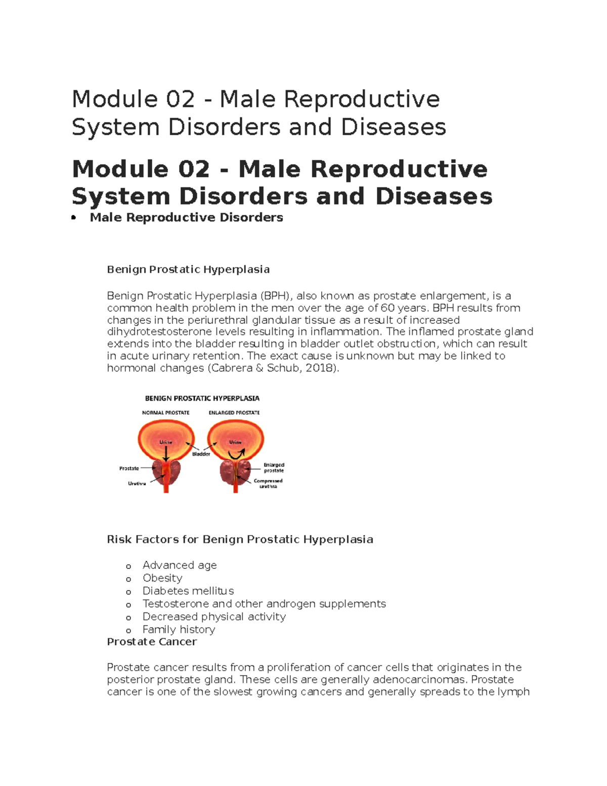 Module 02 Lecture MDC 3 - Module 02 - Male Reproductive System ...
