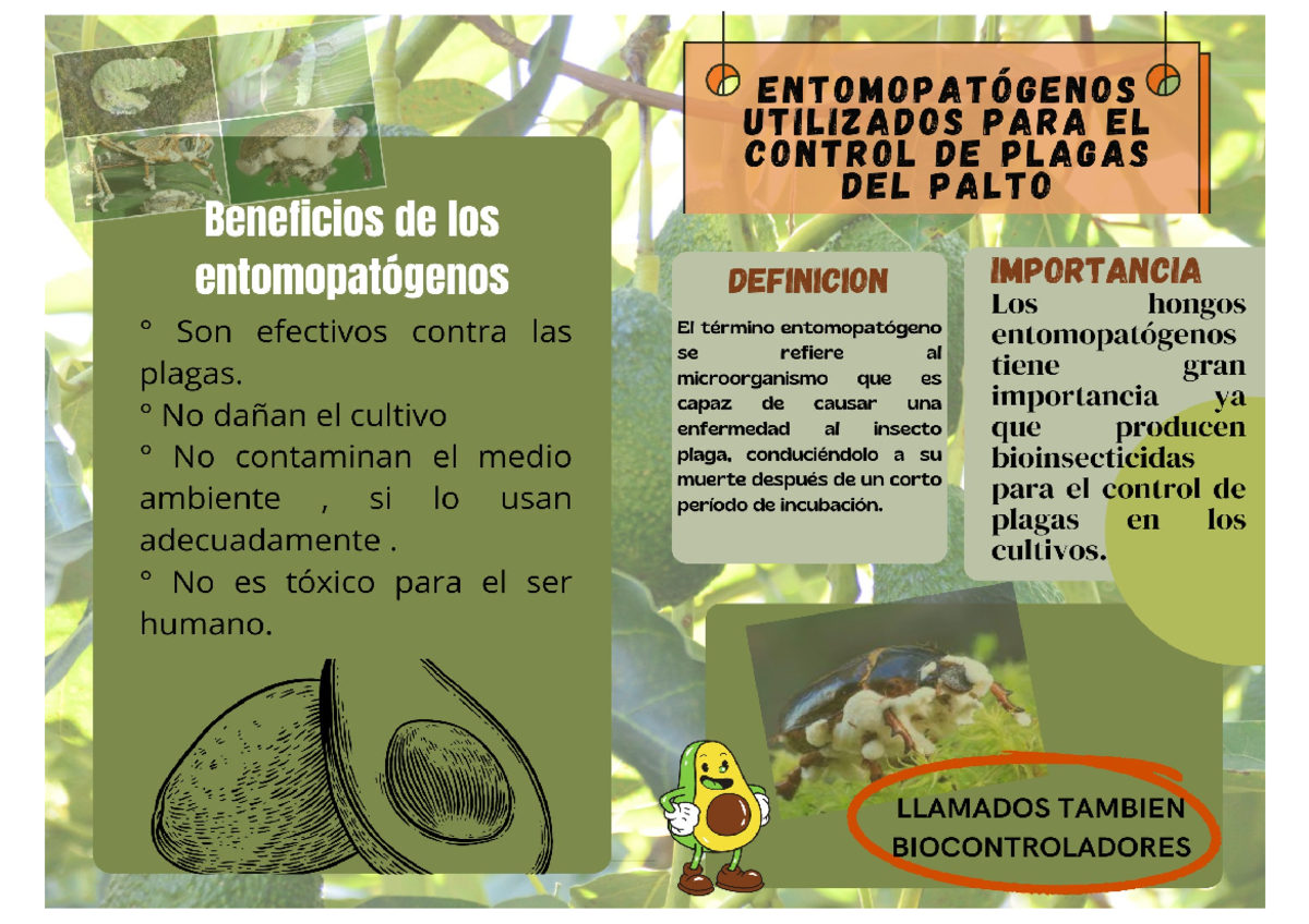 Diptico DE Entomopatogenos - Biologia - Studocu