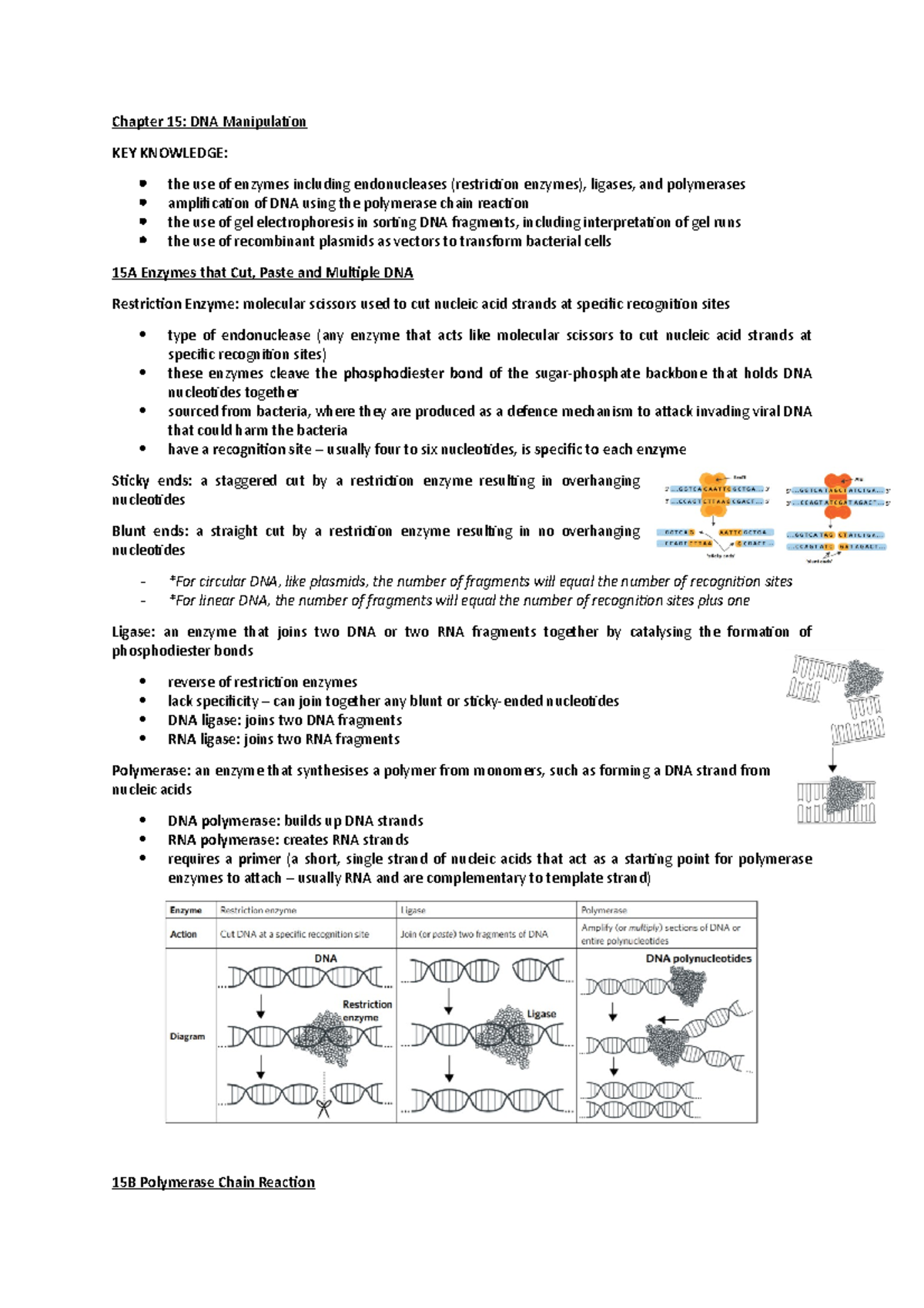 Chapter 15 DNA Manipulation - Chapter 15: DNA Manipulation KEY ...