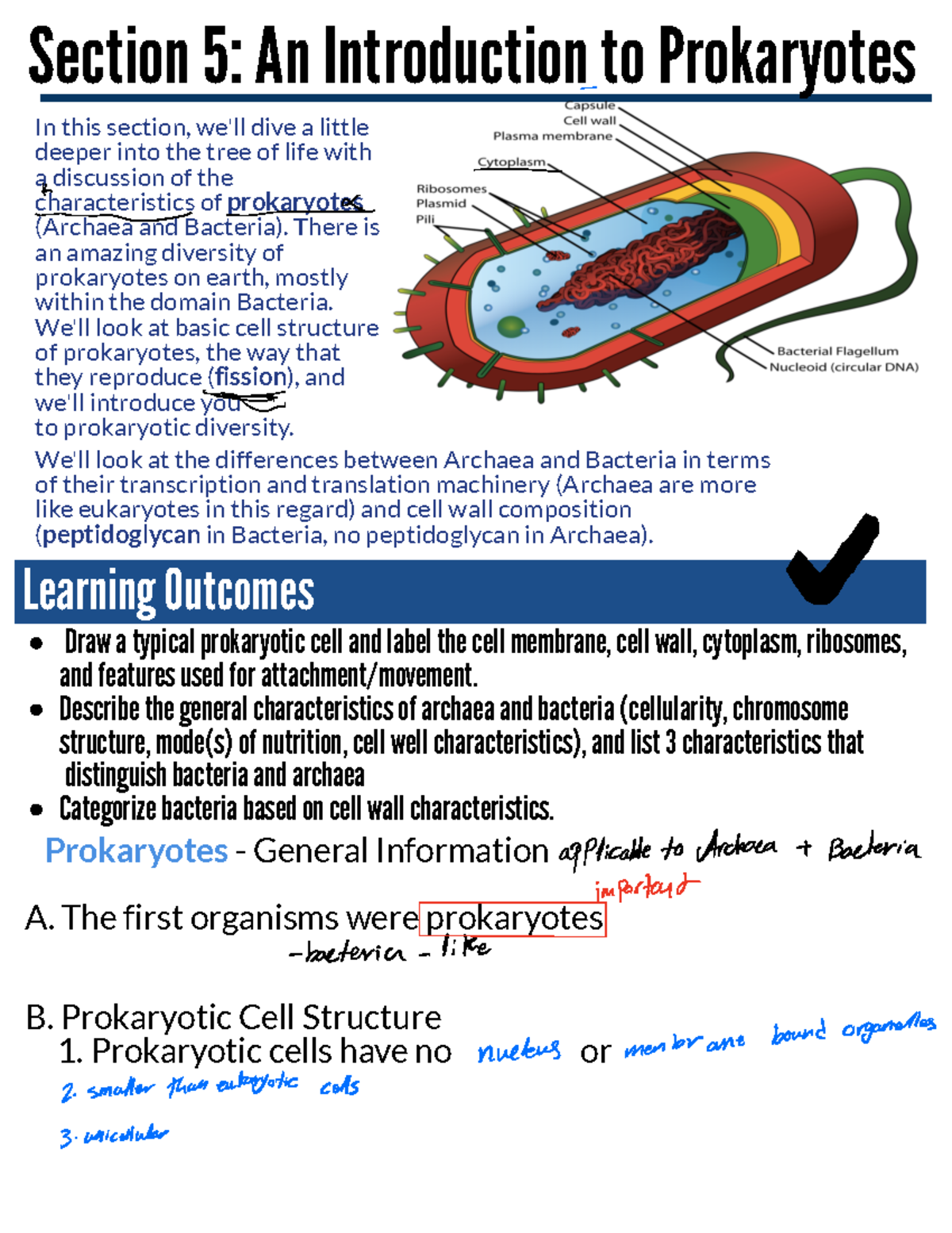 Section 5: An Introduction to Prokaryotes - Draw a typical prokaryotic ...