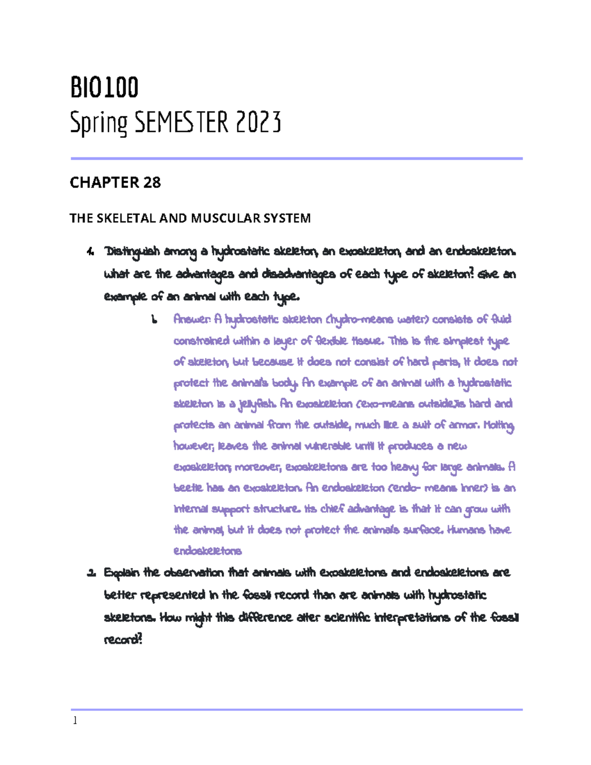 CH. 28 The Skeletal and Muscular System - BIO Spring SEMTER 2023 ...