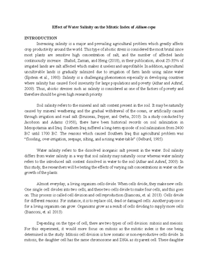 027704 - U. Department of Justice National Institute of Corrections ...