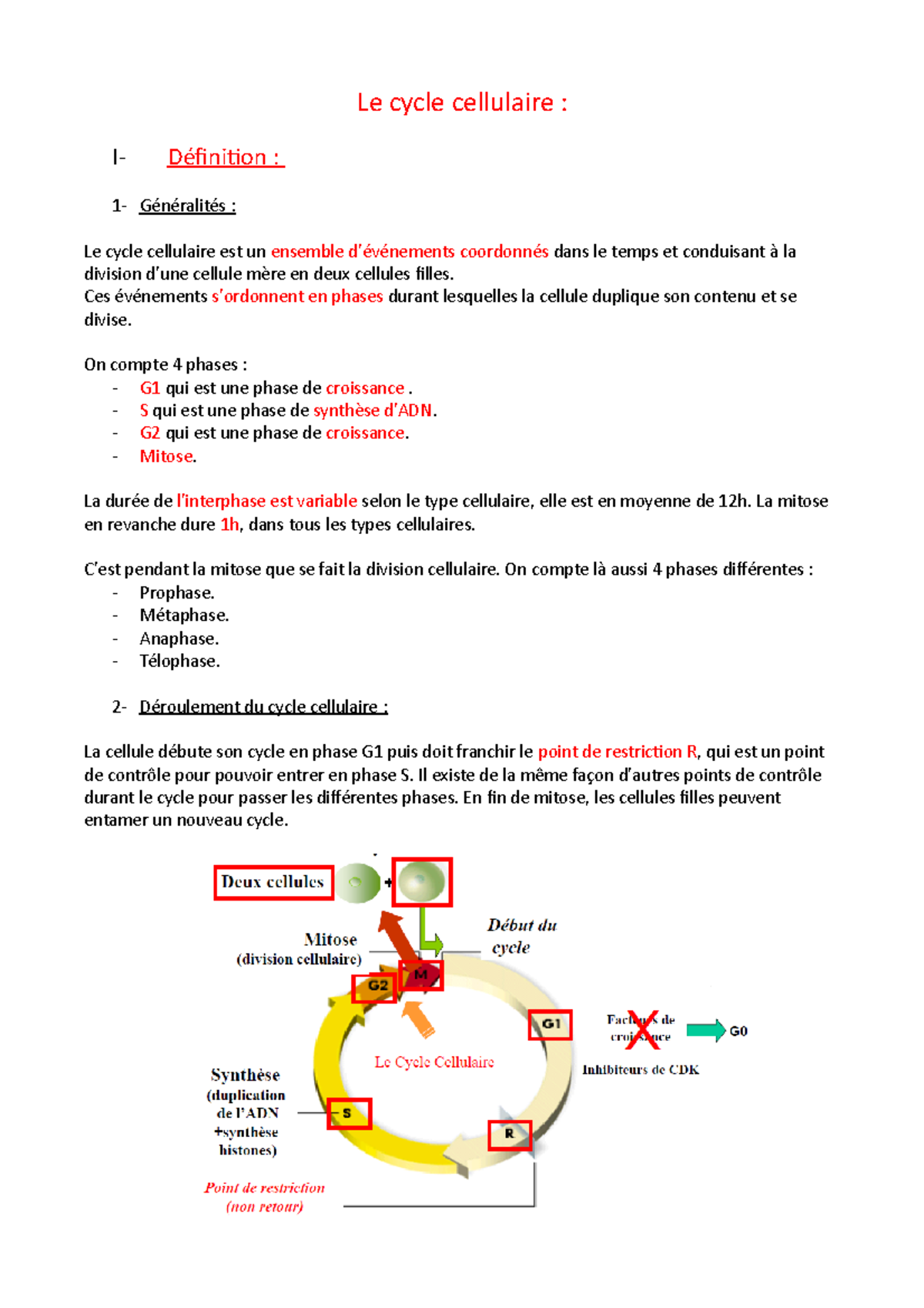 Cycle cellulaire - Ces événements s'ordonnent en phases durant ...