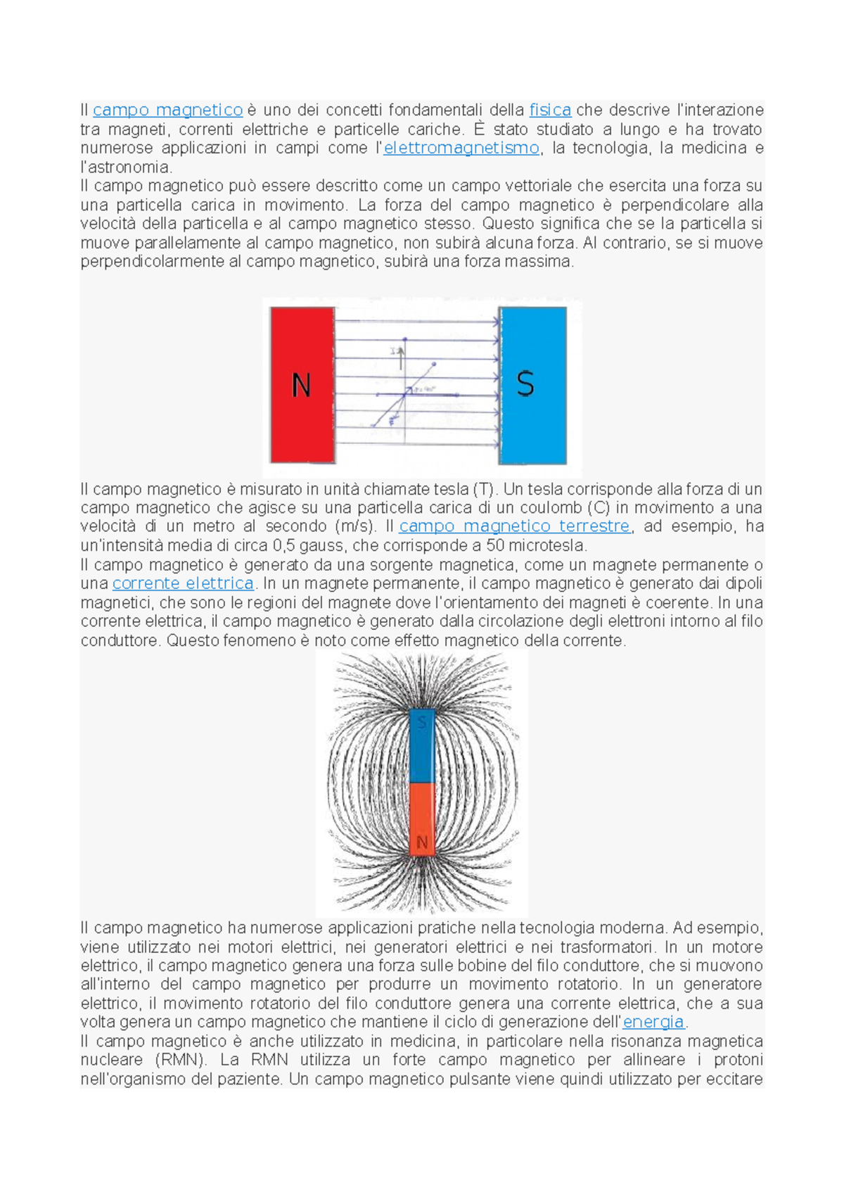 Campo magnetico - calamita - Il campo magnetico è uno dei concetti ...