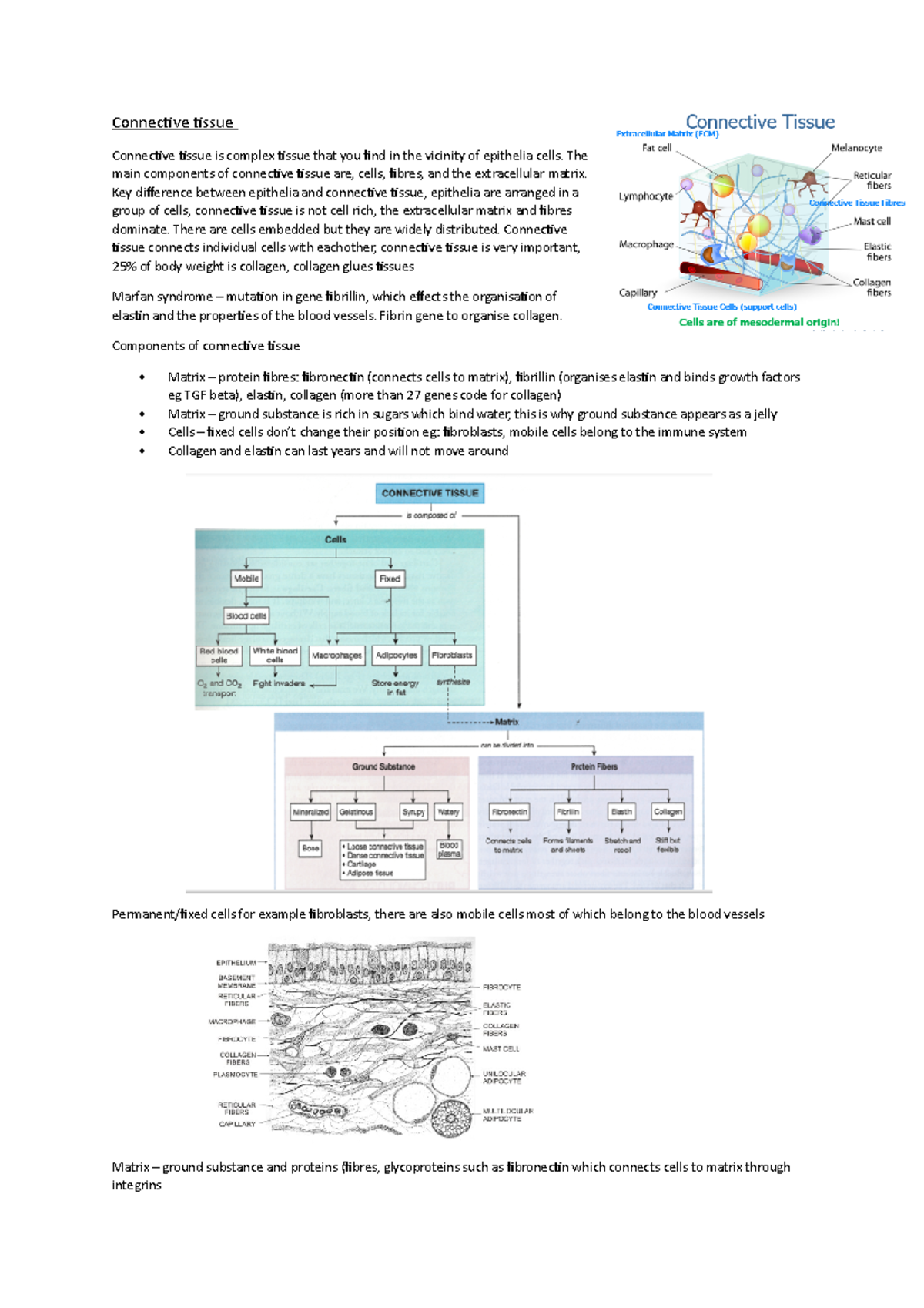 Lecture 5 - connective tissue - Connective tissue Connective tissue is ...