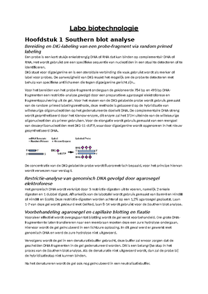 Alu PCR - Verslag Alu PCR - labo biotechnologie - Docent: Mevr. Van ...