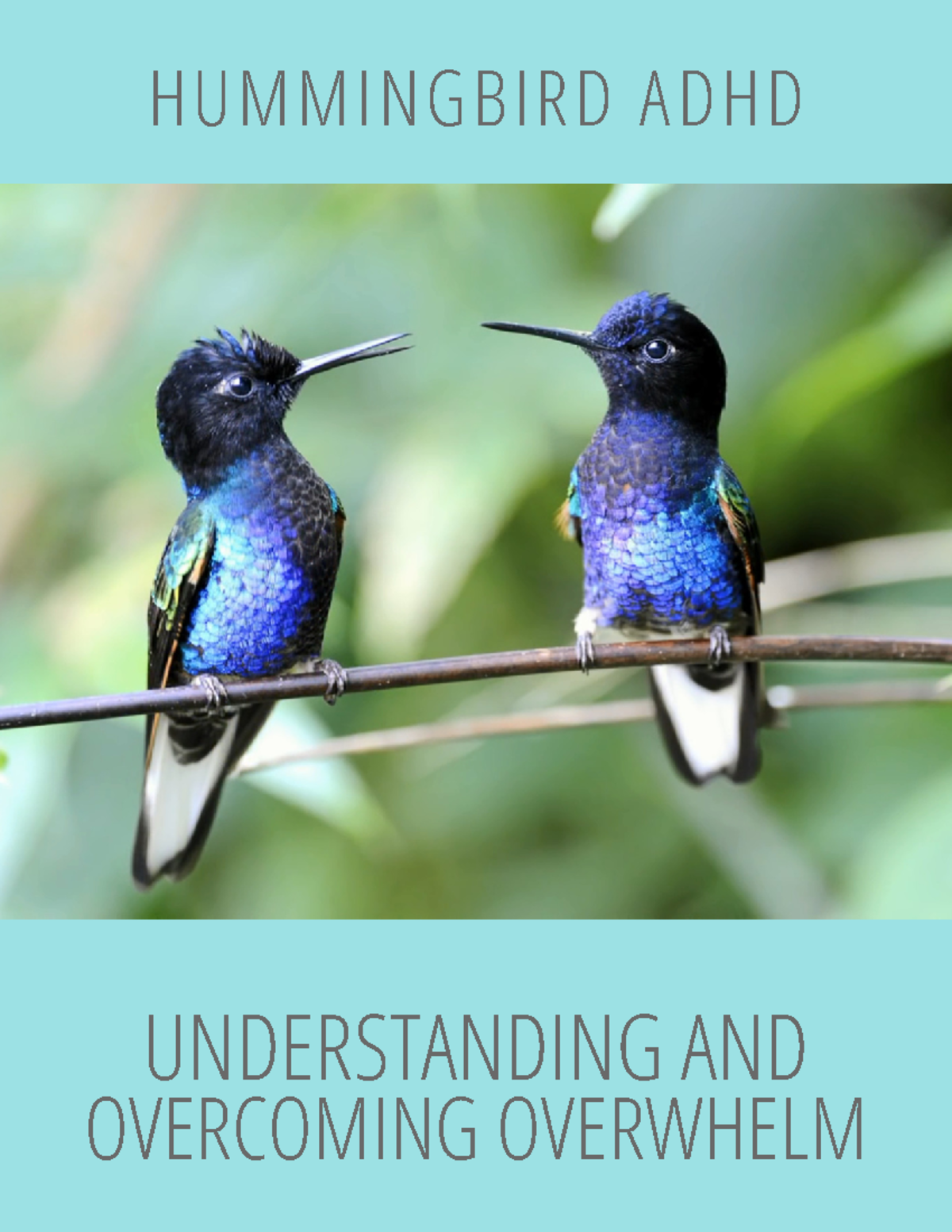 Ab5a216-0f8d-74c-1a5c-fc78bc260c65 Overcoming Overwhelm - HUMMINGBIRD ...