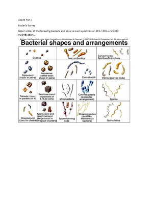 Lab 7 Worksheet - Clinical microbiology lab handout for cells. - Bio ...