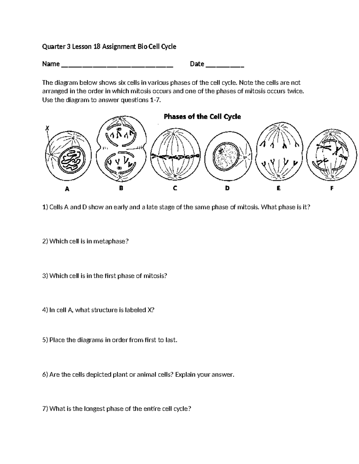 Quarter 3 Lesson 18 Assignment Cell Cycle - Quarter 3 Lesson 18 ...