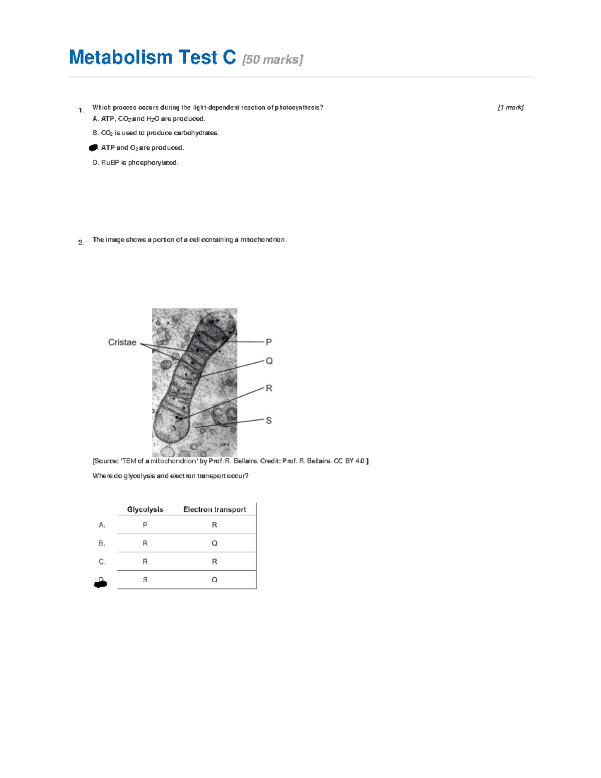 Cellular respiration and photosynthesis questions (1) (2) edited ...