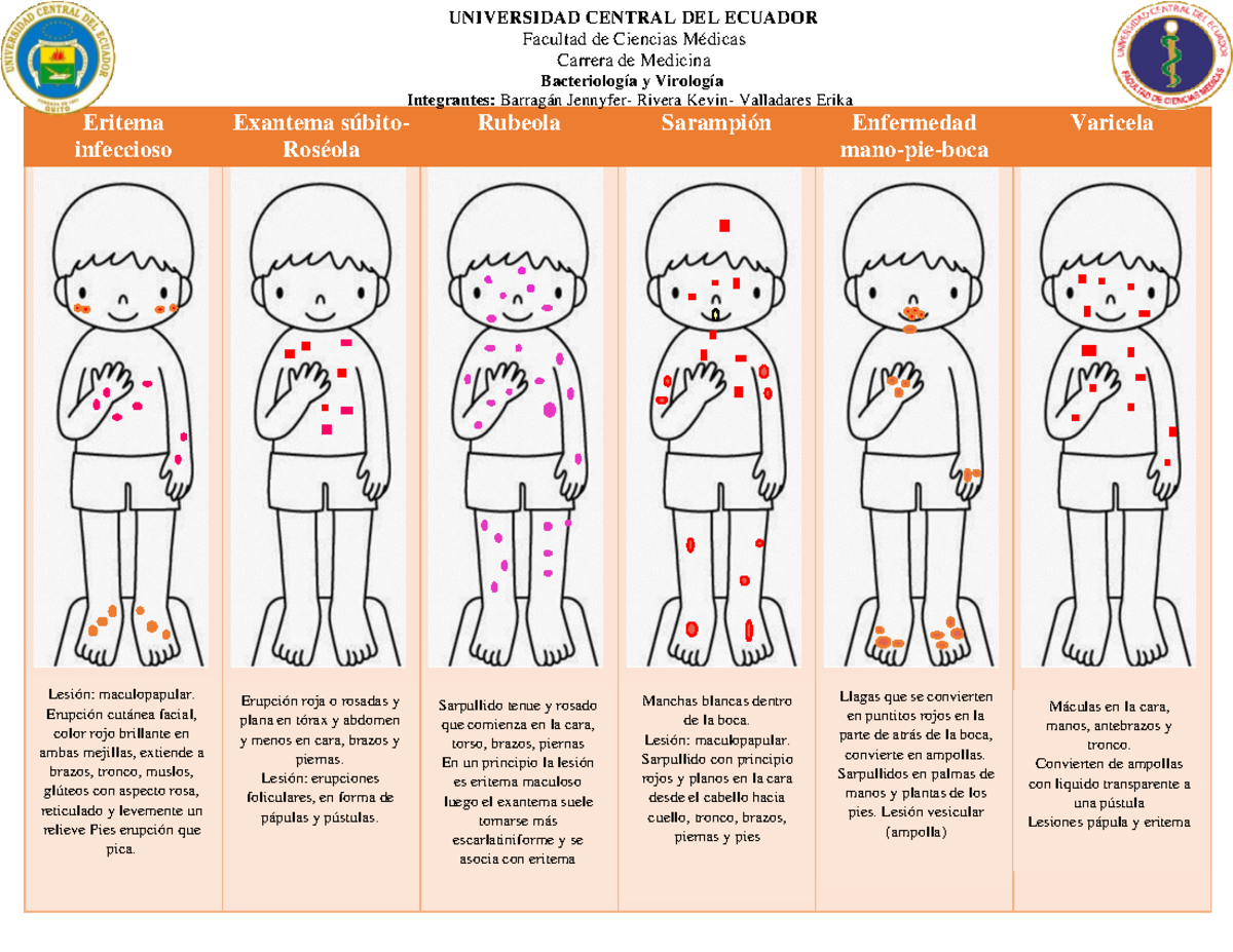 Bacteriologia Eritemas infecciosos - Eritema infeccioso Exantema súbito ...