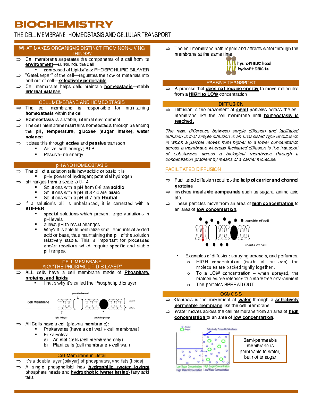 Biochemistry Intro to cell - WHAT MAKES ORGANISMS DISTINCT FROM NON ...