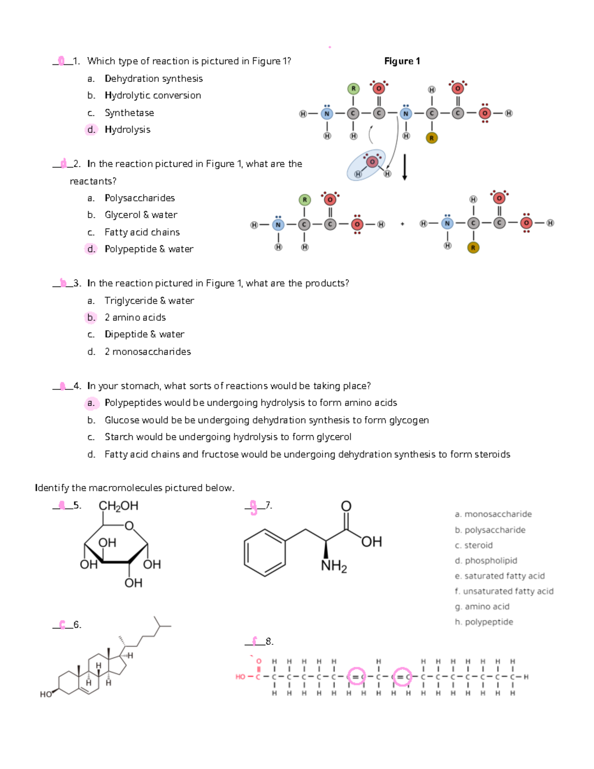 Biology - Biolgy notes - _____1. Which type of reaction is pictured in ...