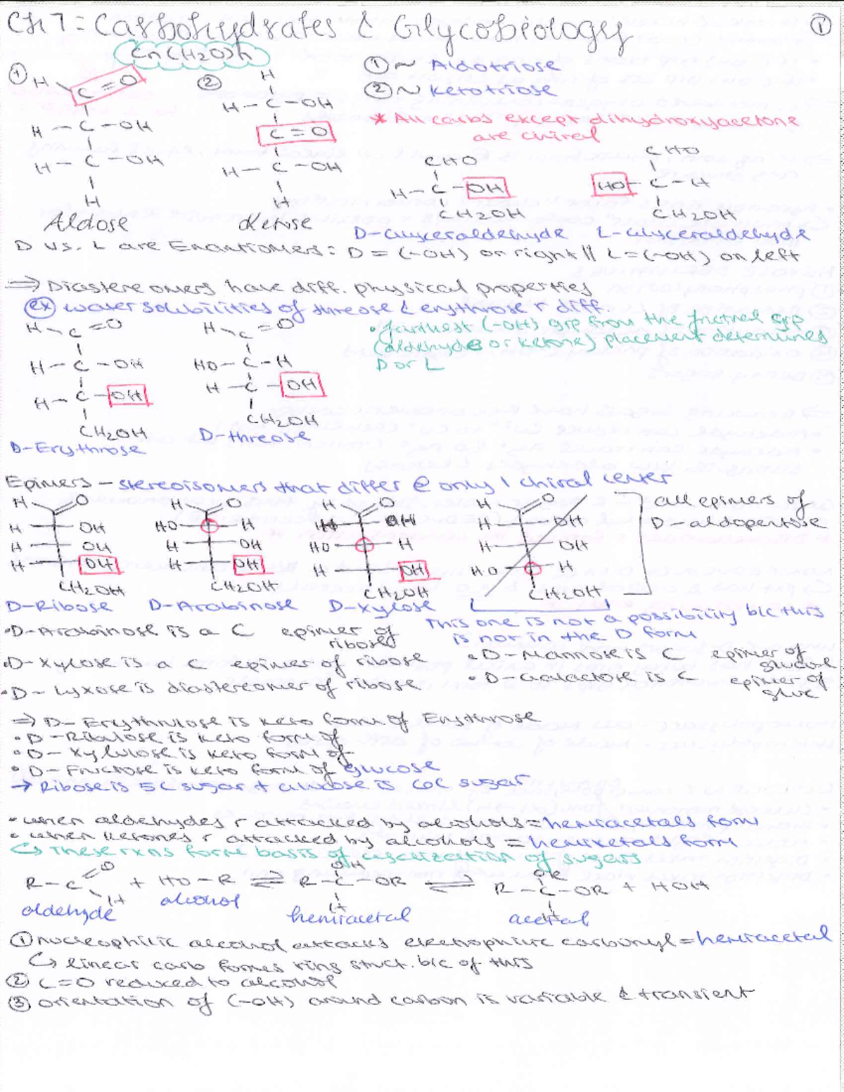 Ch7 biochem lahousse - BIO 4341 - Studocu