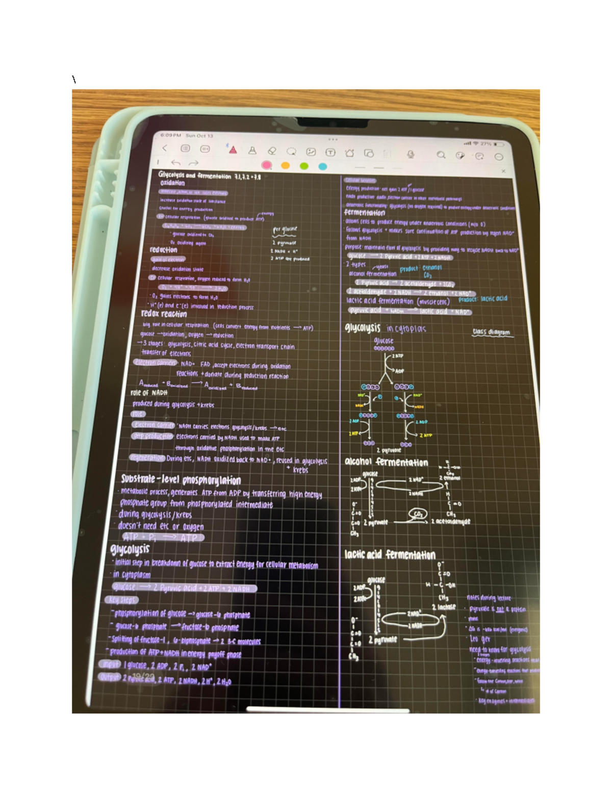 Doc7 - summary - 6:09PM Sun Oct 13 T I Glycolysis and fermentation 7,7 ...