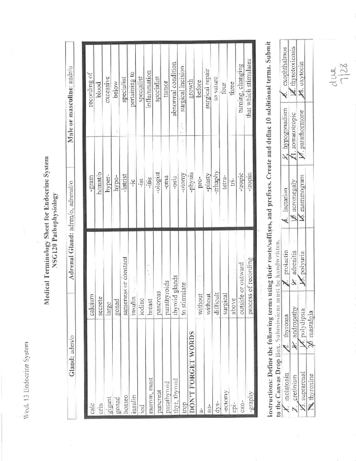 Endocrine med term - medical terminology - Week 13 Endocrine System ...