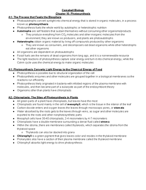 AP Biology Chapter 5 Notes - Campbell Biology Chapter 5: The Structure ...