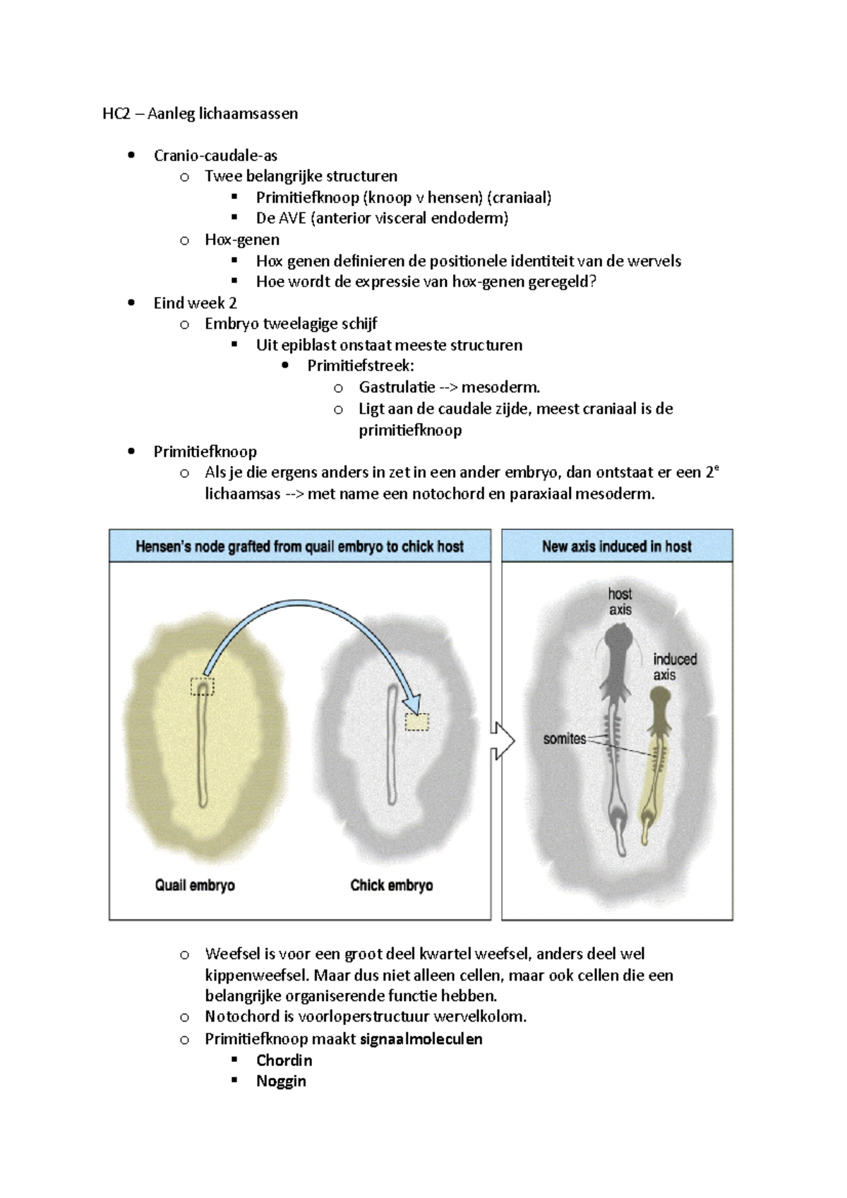 HC2 – Aanleg lichaamsassen - HC2 – Aanleg lichaamsassen Cranio-caudale ...