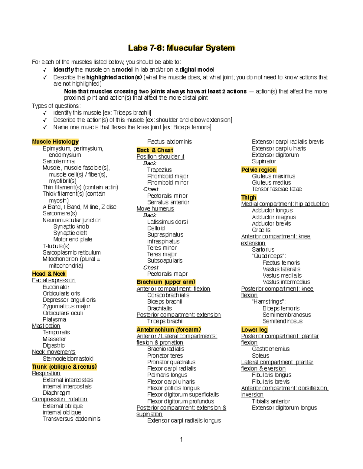 Lab 7-8 - Labs 7-8: Muscular System ####### For each of the muscles listed below, you should be ...
