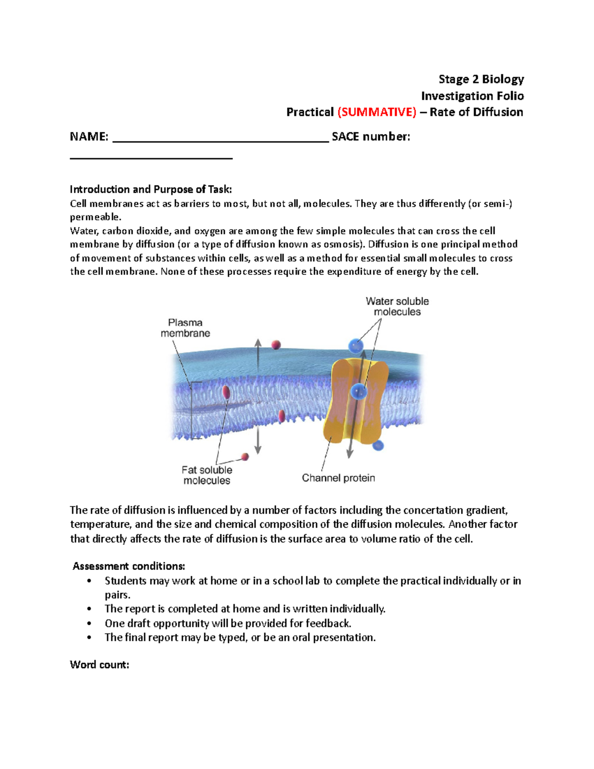 Rate of diffusion - instructions H8WZ8HF - Stage 2 Biology ...
