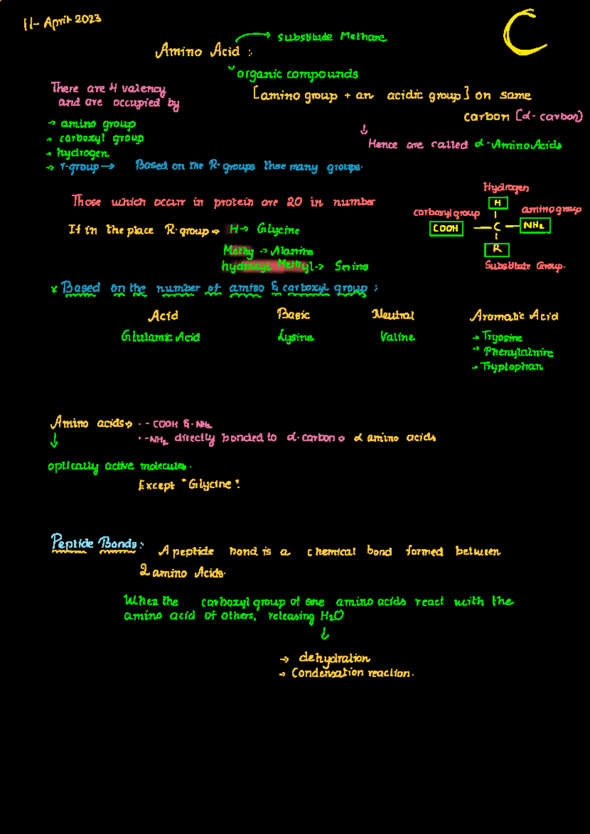 4. Protein AND Amino Acids - medicine - Studocu