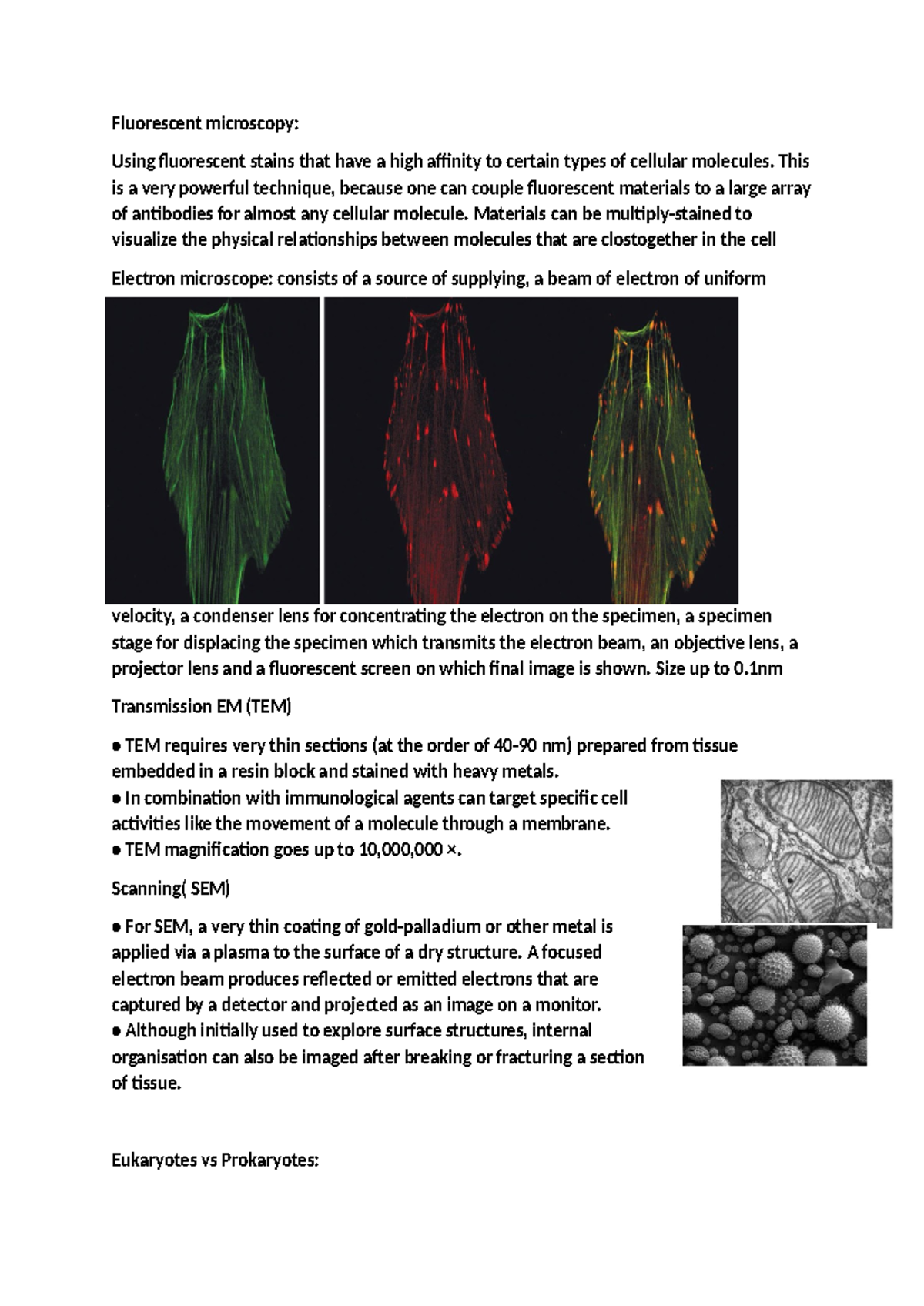 Cell biology revision - Fluorescent microscopy: Using fluorescent ...