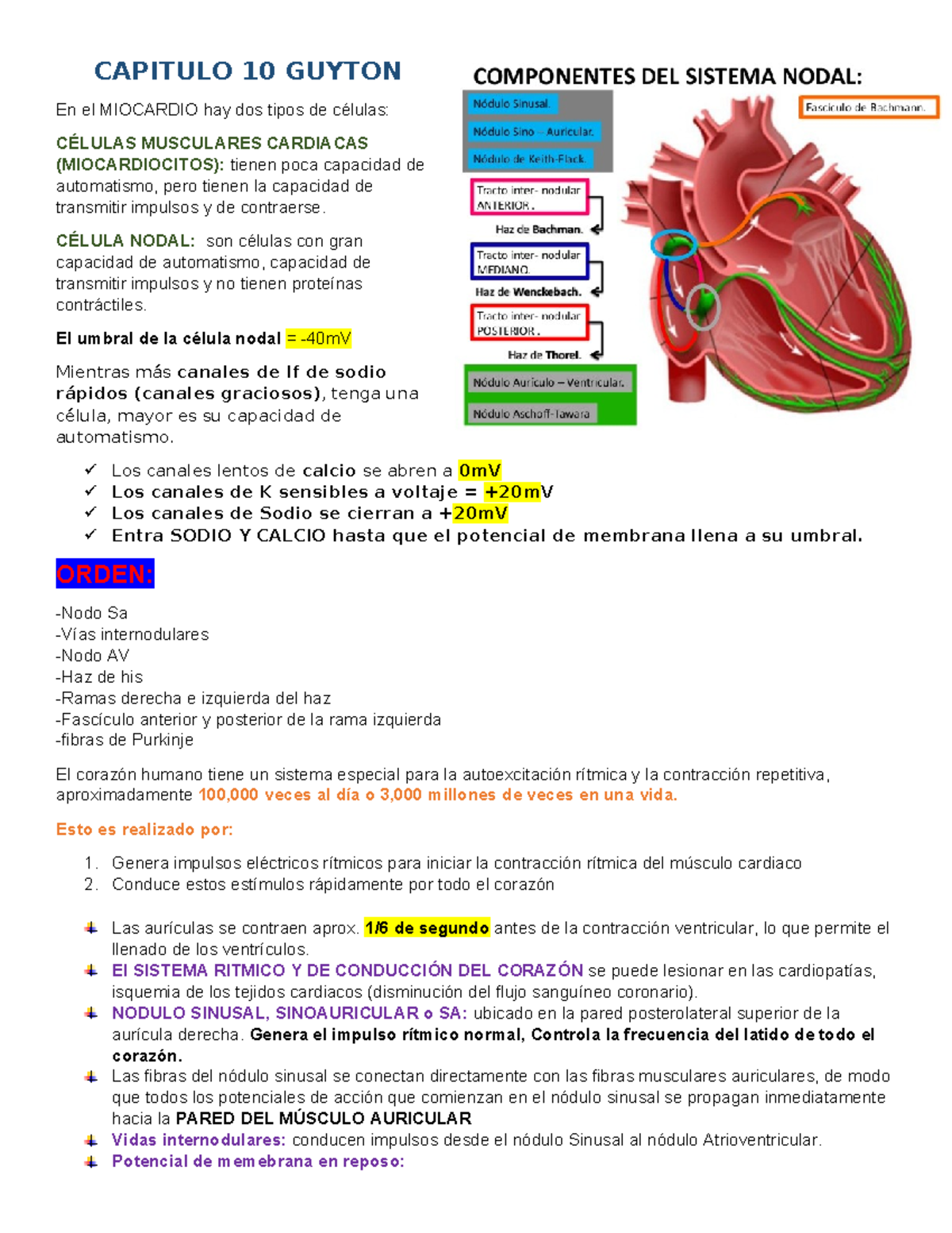 Resumen Guyton 10 Y 11 - CAPITULO 10 GUYTON En el MIOCARDIO hay dos tipos de células: CÉLULAS ...