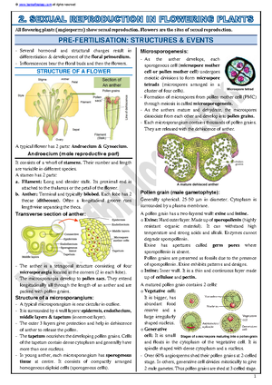 Ielts study plan 1 month - Hi there, Are you ready to embark on your ...