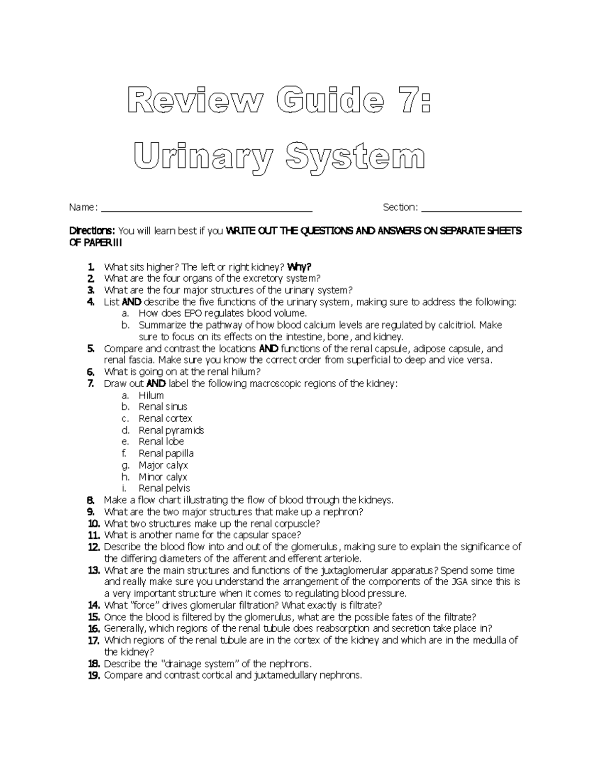 7 Urinary System Review Guidemw 2021-2 - Name: ________________________________________ Section ...