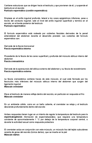 Abdomen Cap 5 (funículo espermatico, escroto y testículos) - Contiene ...