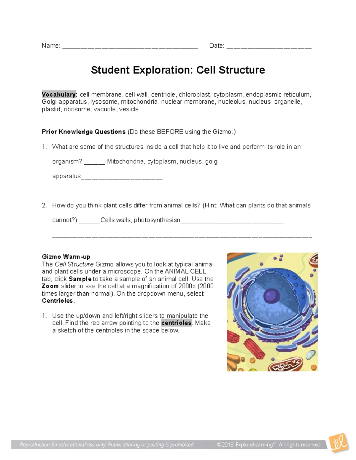 Copy of Oliver Latimer - Cell Structure Gizmo - Name