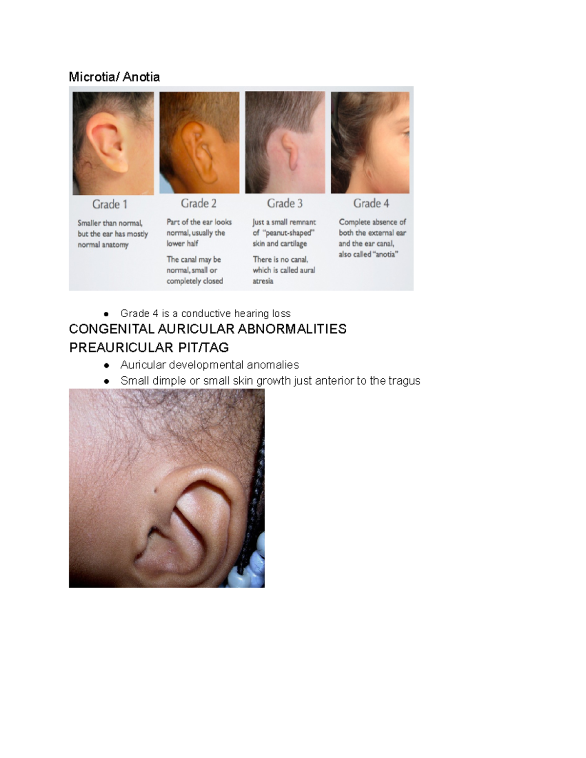 4190 aud chap 6 - Spring 2023 Dr. Sutherland Document requirements LSU ...