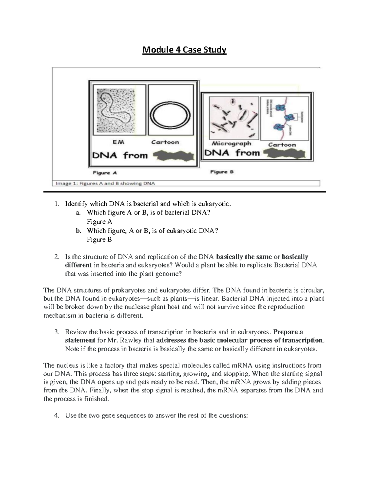 Module 4 Case Study Worksheet - Module 4 Case Study Identify which DNA ...