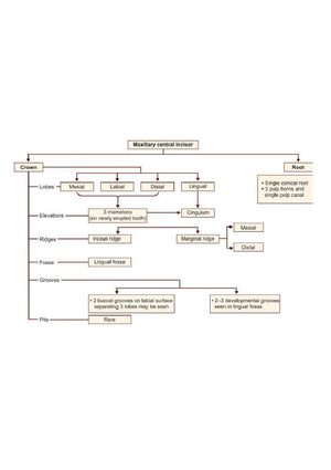 3. OSPE Questions - ospe for oral biology - Oral Biology - Studocu