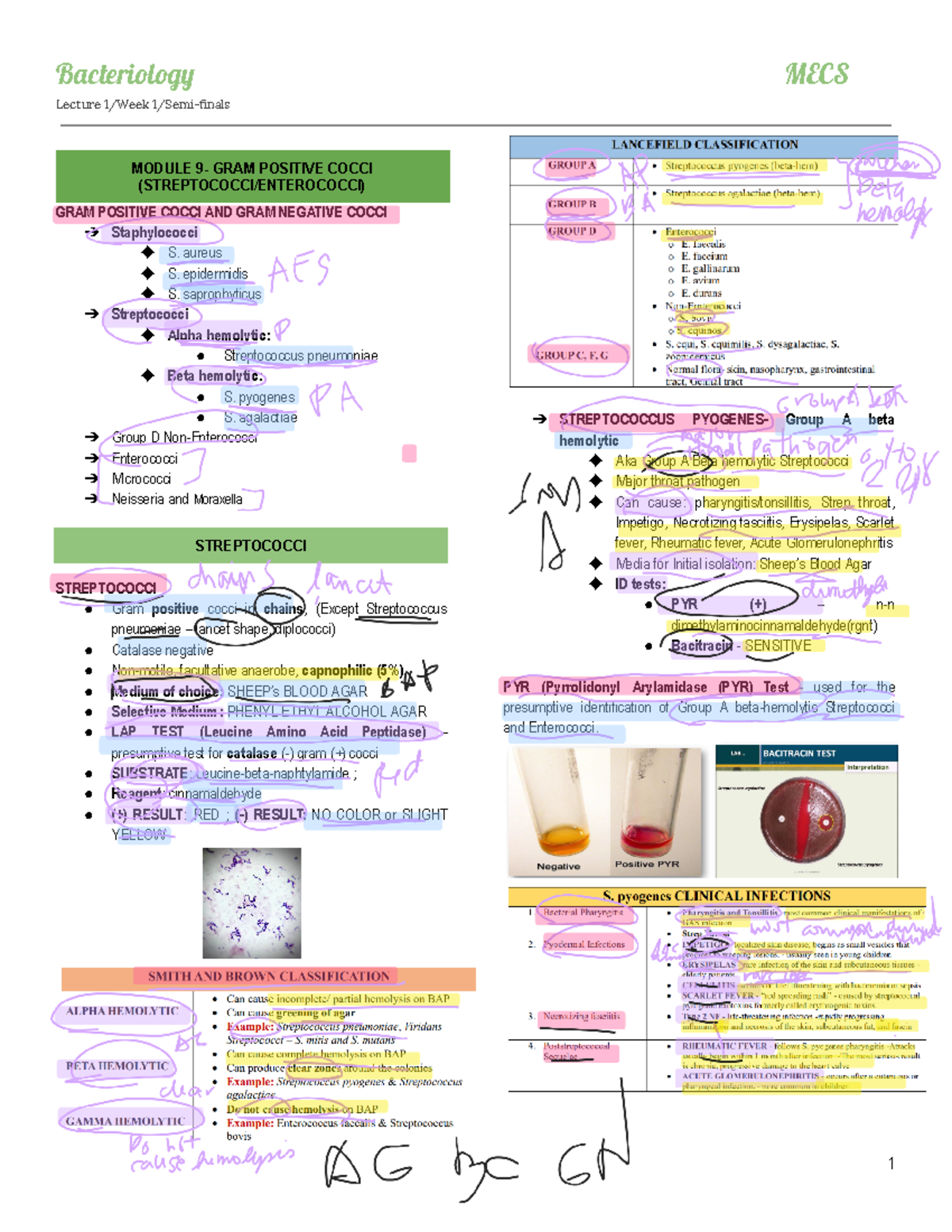 Bacteriology module 9 lecture notes - Lecture 1/Week 1/Semi-finals ...