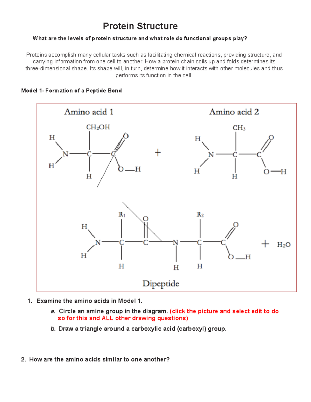 Protein Structure - N/A - Protein Structure What are the levels of ...