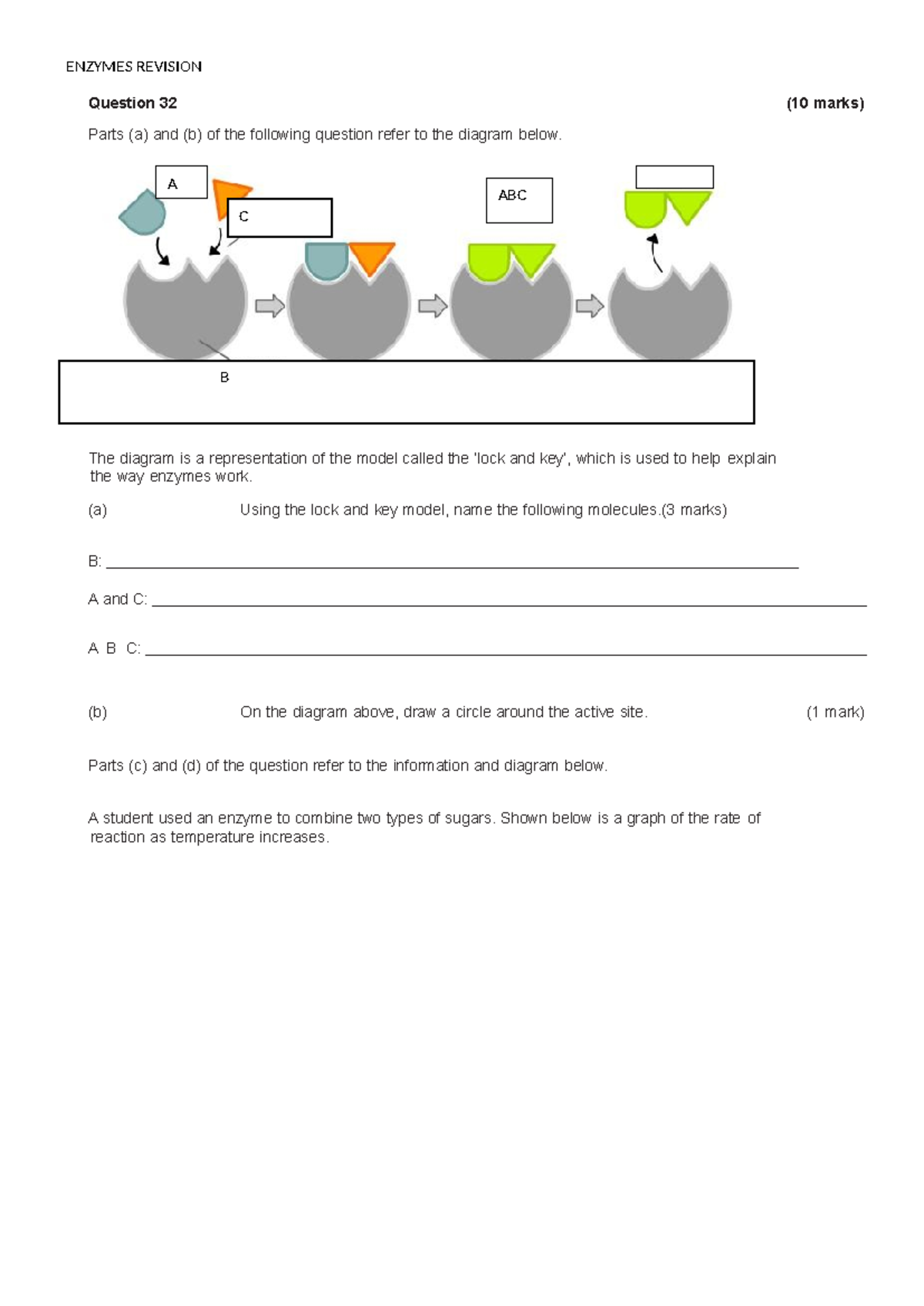 Enzymes - Revision Questions - ENZYMES REVISION Question 32 (10 marks ...