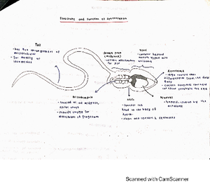 EXPERIMENT 4 SB015 - College’s - Studocu
