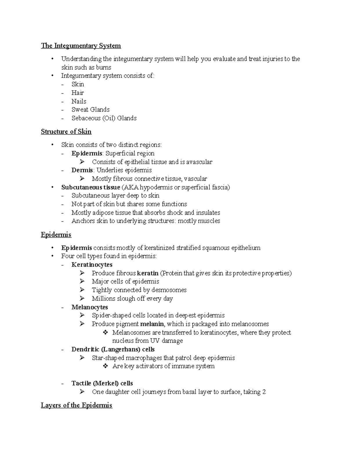 Anatomy 1 Ch.5 Part A - Reynolds - The Integumentary System ...