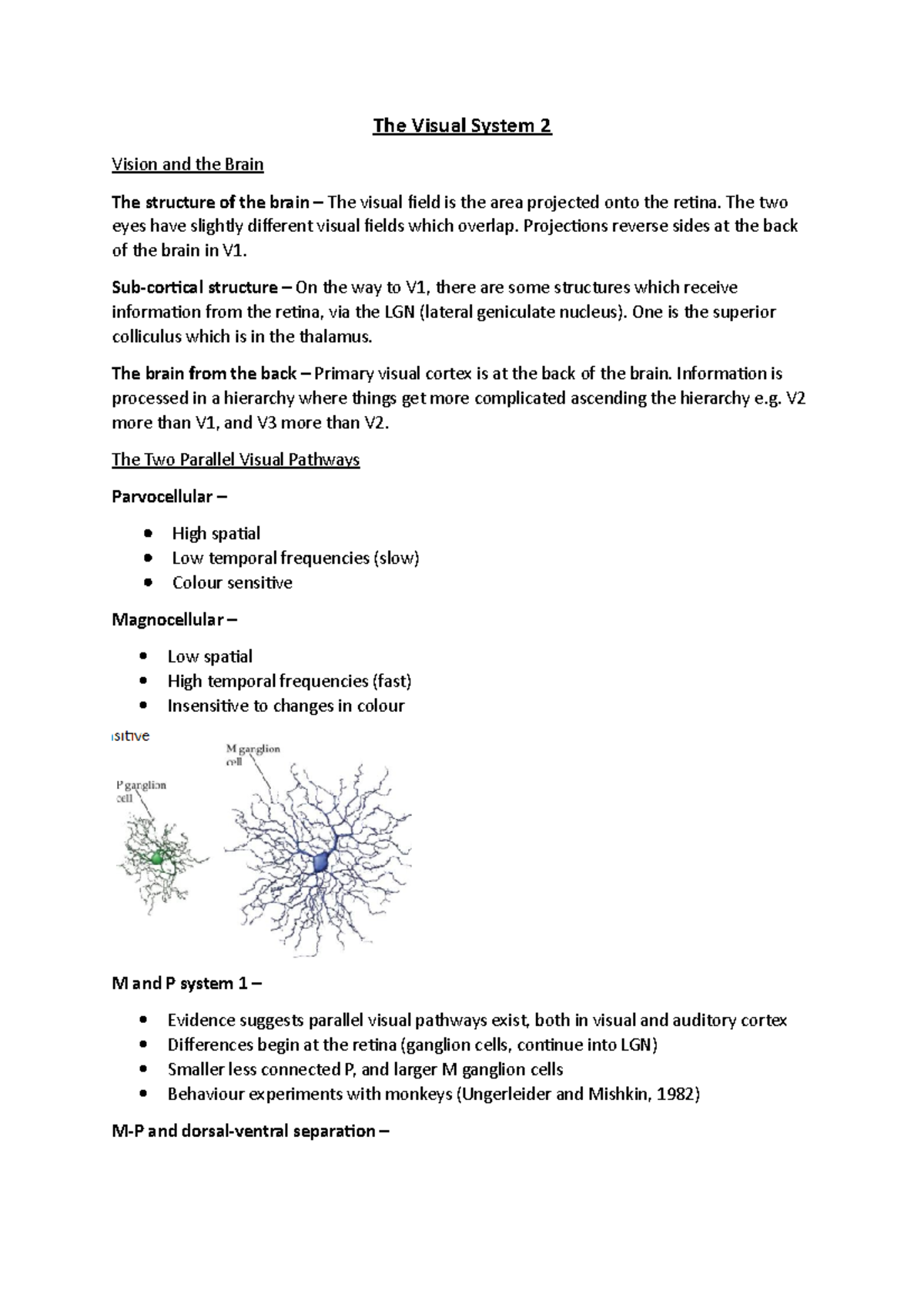 The Visual System 2 - The two eyes have slightly different visual ...