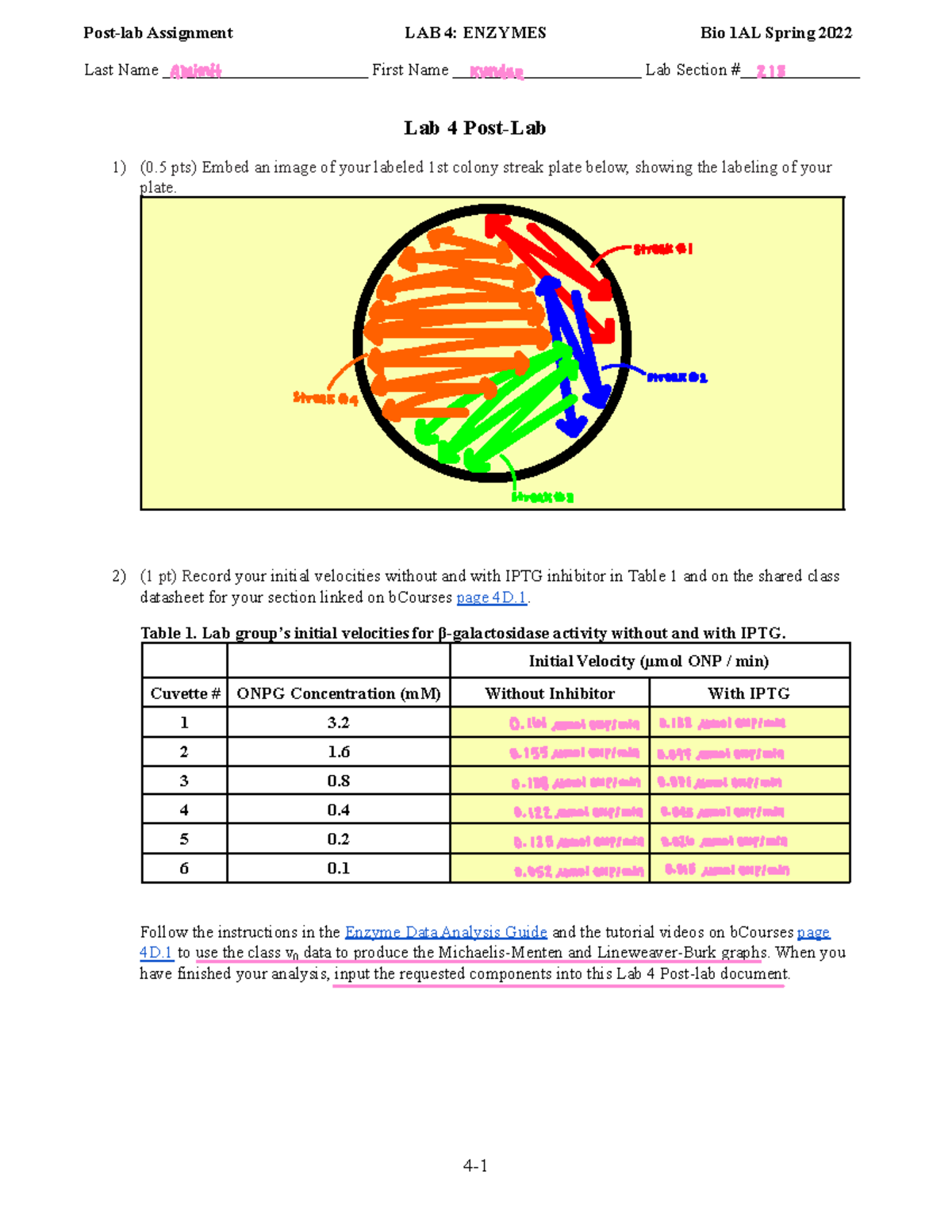 Lab 4 Enzymes Post-lab SP22 2 - - Studocu
