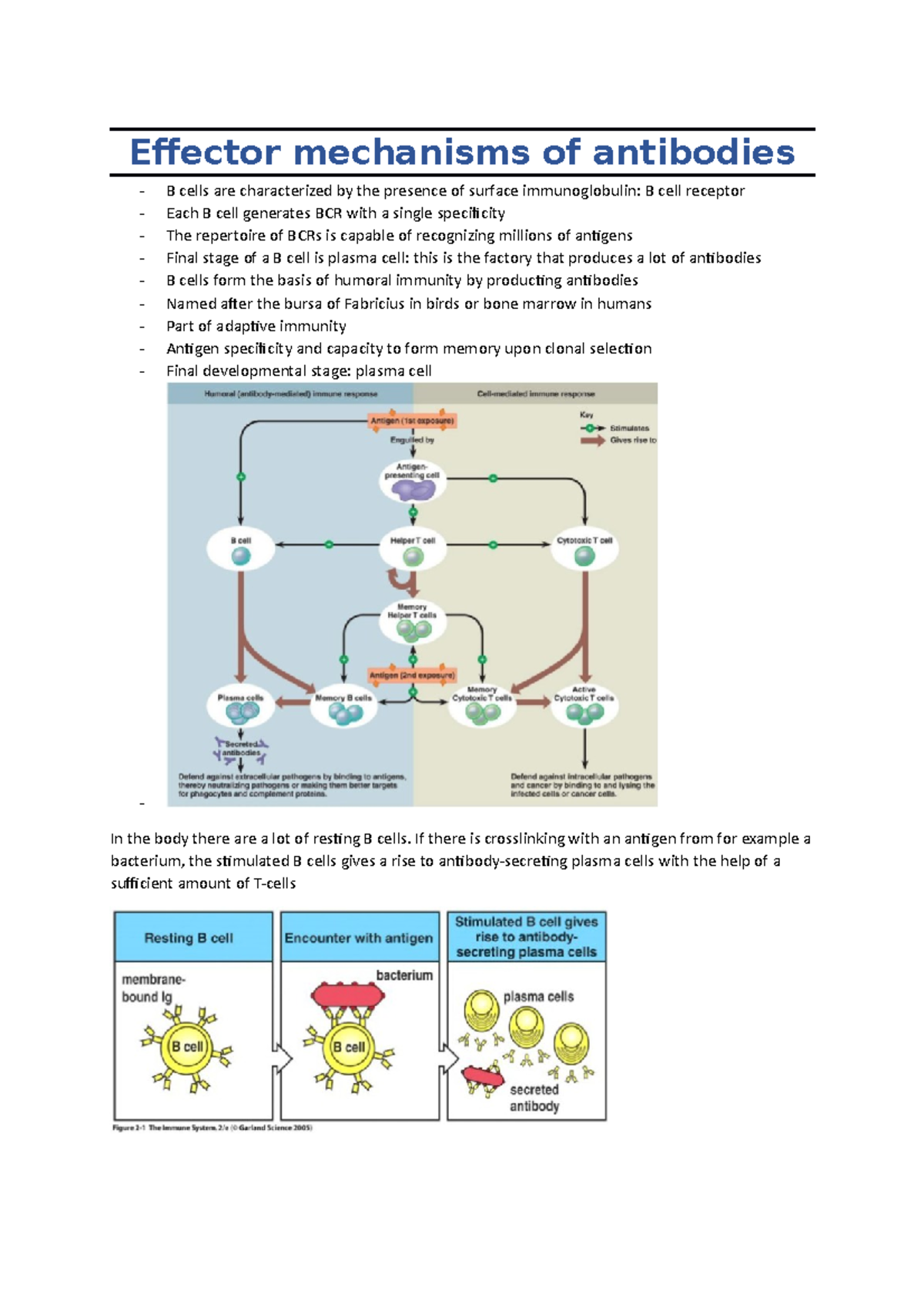 Effector mechanisms of antibodies - If there is crosslinking with an ...