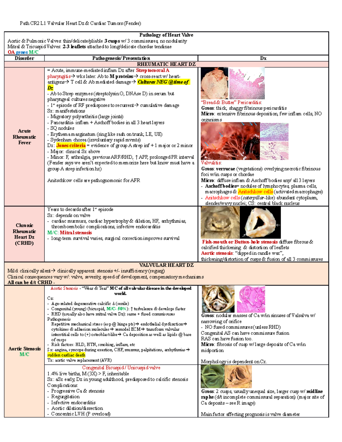 Path CR3 L1 Valvular Heart Dz - Cz: Age-related degenerative calcific Δ ...