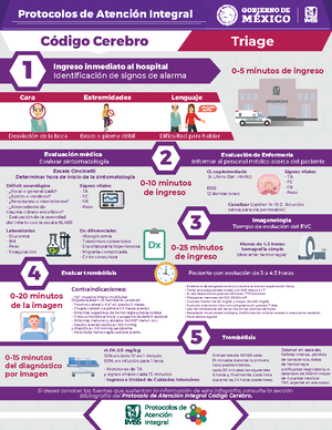 Neoplasias cerebrales fundamentos prácticos, fisiopatología, etiología 2 - Neurología - Studocu