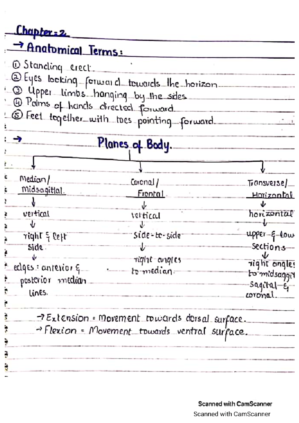 General Anatomy Notes - GA summarized - Bachelor of medicine and ...